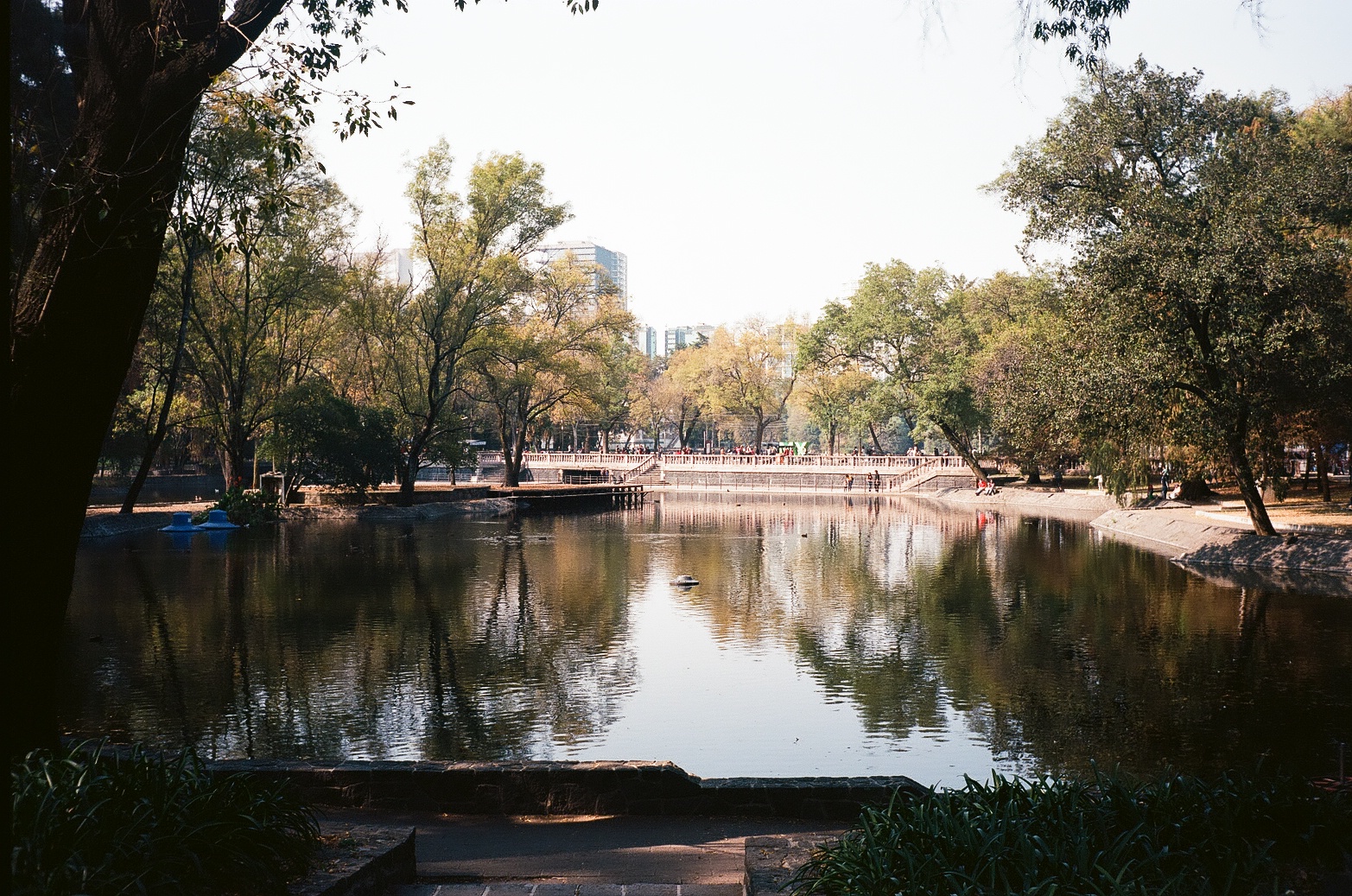 A collection of photos shot on my Olympus Trip 35 - Logan Gabriel - Video Game Composer