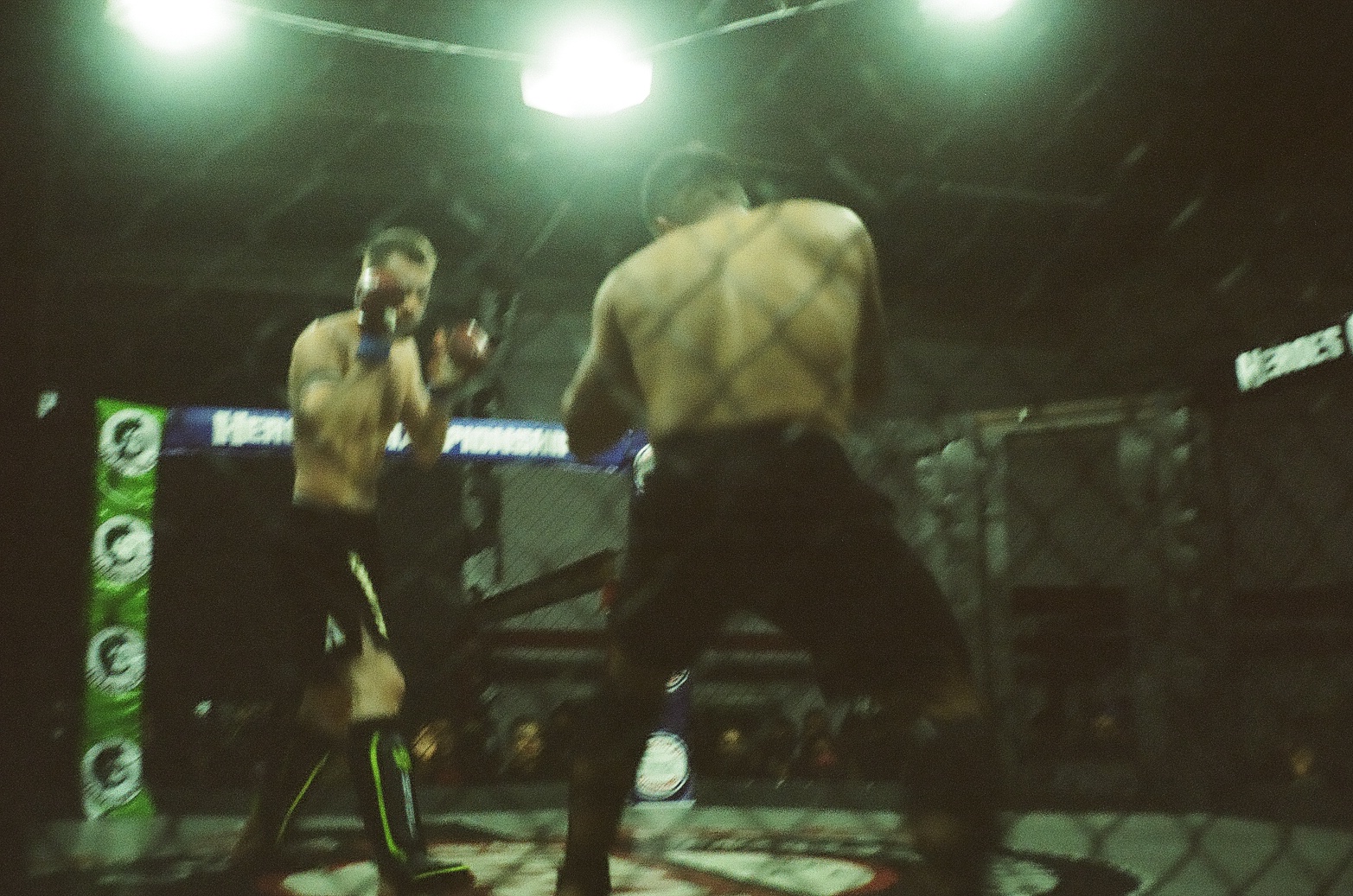 A collection of photos shot on my Olympus Trip 35 - Logan Gabriel - Video Game Composer