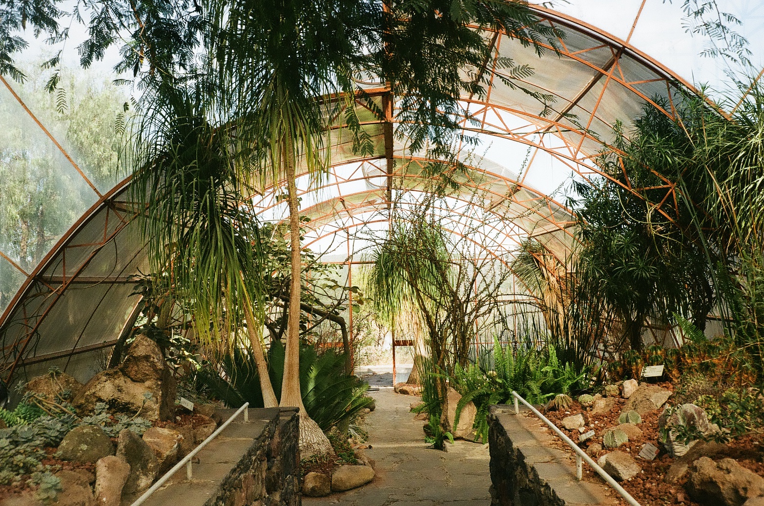 A collection of photos shot on my Olympus Trip 35 - Logan Gabriel - Video Game Composer