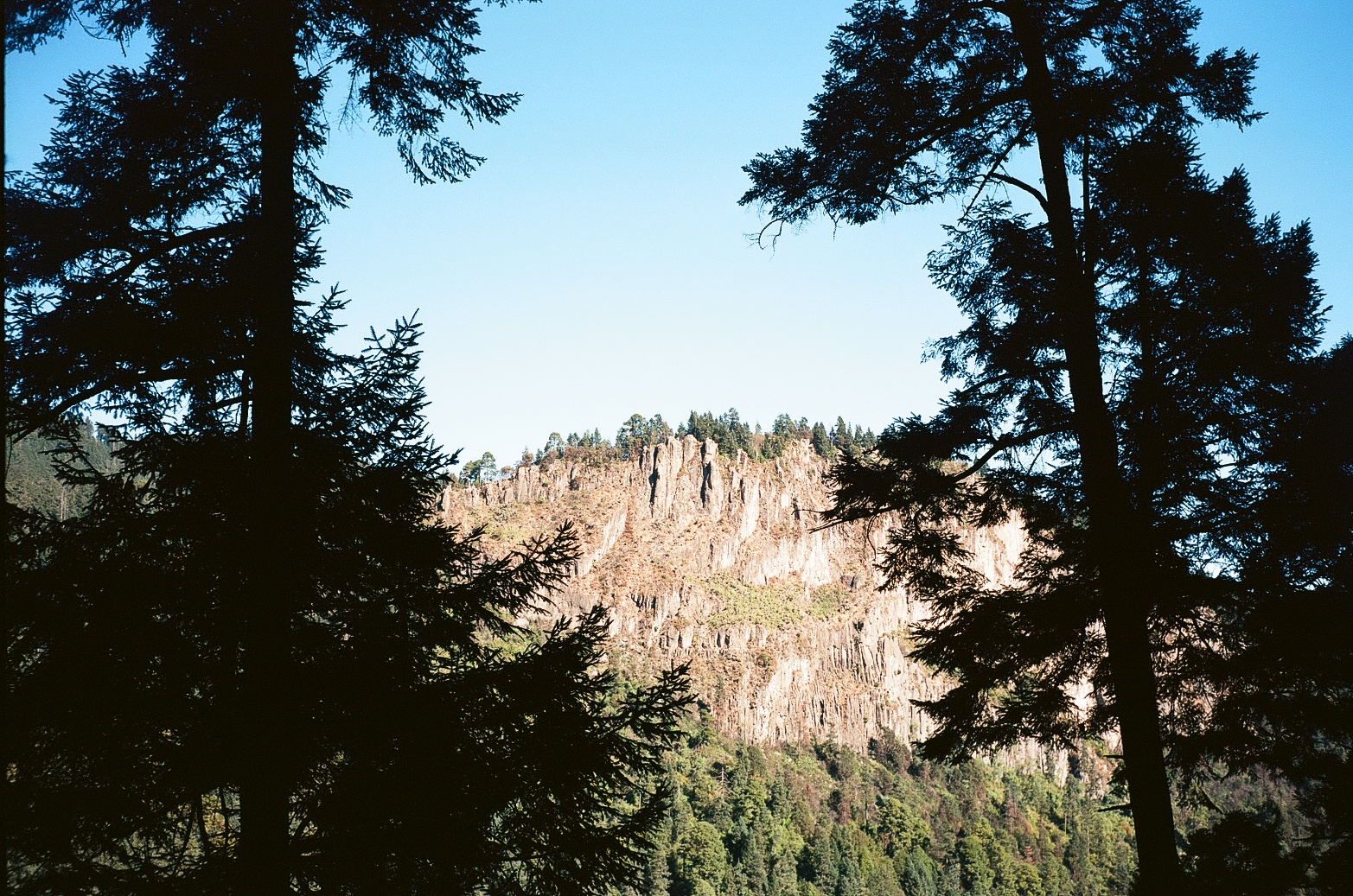 A collection of photos shot on my Olympus Trip 35 - Logan Gabriel - Video Game Composer