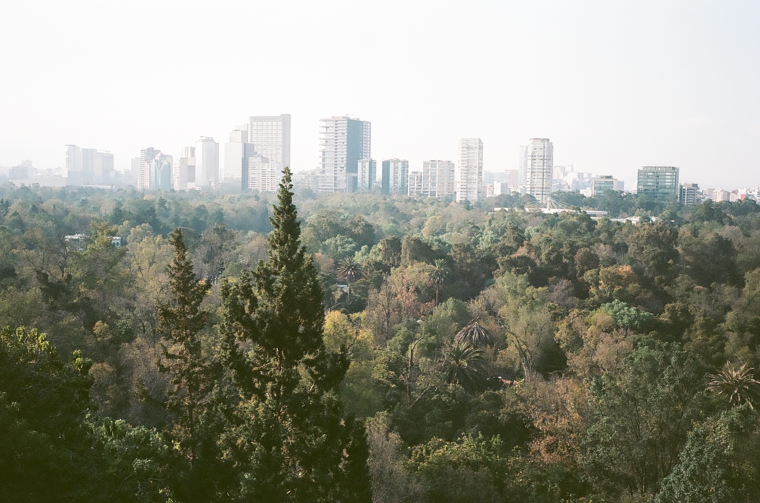 A collection of photos shot on my Olympus Trip 35 - Logan Gabriel - Video Game Composer